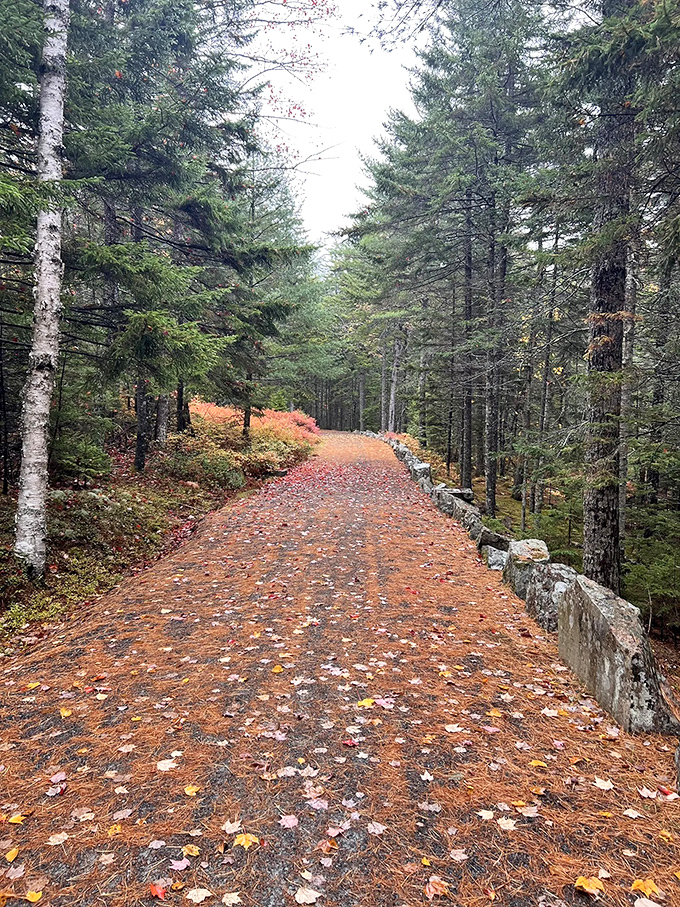 Autumn's artistic masterpiece &ndash; a trail carpeted with fallen leaves creating nature's most beautiful welcome mat.