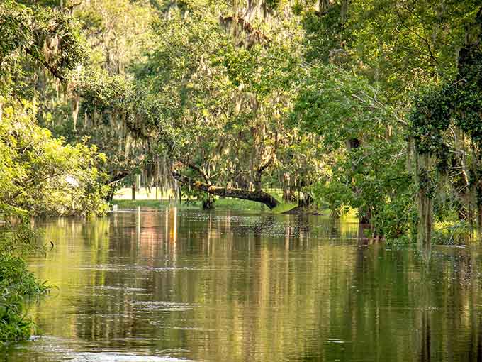 The river's gentle current and clear waters make fossil hunting accessible for adventurers of all ages and abilities.