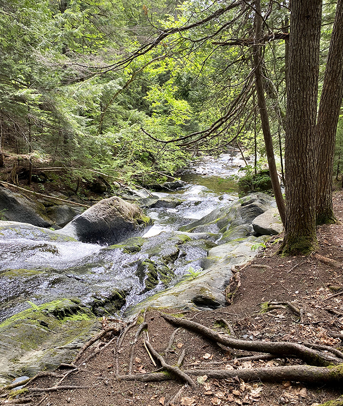 The Pleasant River dances over ancient stones, creating a symphony of bubbling sounds that soothes the soul.