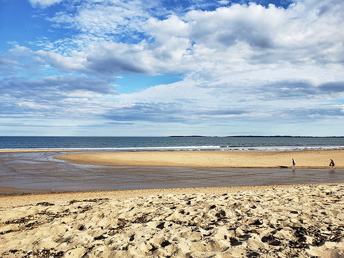 Where land meets sea in a perfect handshake, Ocean Park's beaches offer golden sands that seem to whisper, "Slow down, you've arrived."