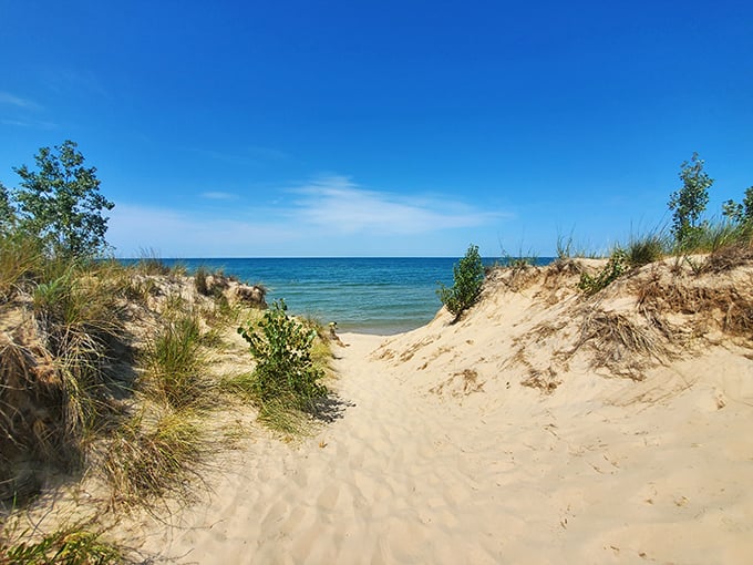 Nature's invitation beckons through sandy dunes &ndash; the path less traveled often leads to the most rewarding discoveries.