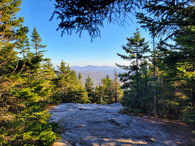 Nature's infinity pool &ndash; a sweeping vista where forest meets sky, offering views that make smartphone cameras weep with inadequacy.