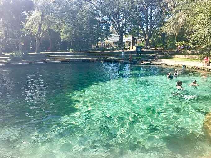 That's not a swimming pool, that's a natural spring maintaining a perfect 72 degrees without a single pool heater or chemical treatment in sight.