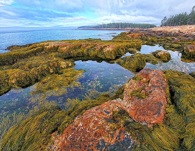 Tide pools transform into nature's aquariums, where seaweed dances with the gentle rhythm of retreating waves.