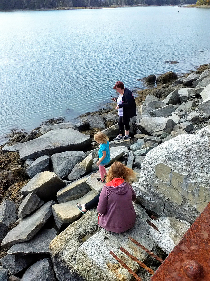 Rocky shoreline explorers search for treasures along the water's edge, where every stone tells a story of Maine's glacial past.