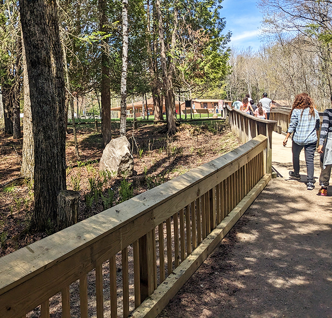 Visitors stroll along the accessible boardwalk, their expressions shifting from curiosity to wonder as the Big Spring reveals itself.