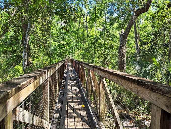 This wooden suspension bridge is your ticket to feeling like an adventurer without actually having to do anything too adventurous or scary.