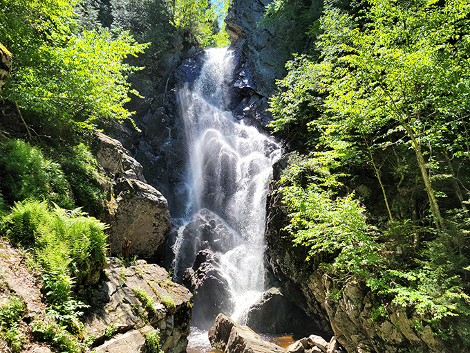 Angel Falls cascades dramatically through a rocky gorge, its white water dancing down multiple tiers surrounded by lush summer greenery.