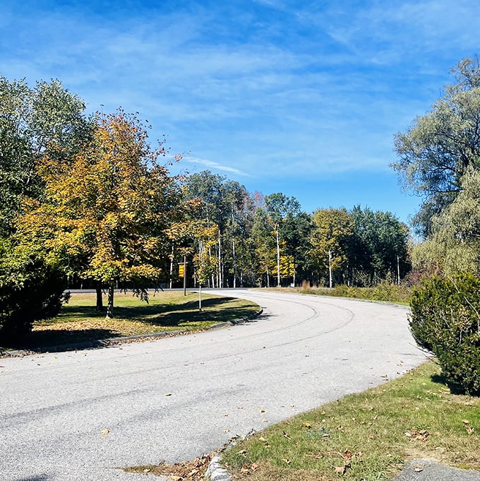 Bethel's family-friendly trails wind through pine forests where picnic tables invite you to stay awhile and soak in the tranquility.
