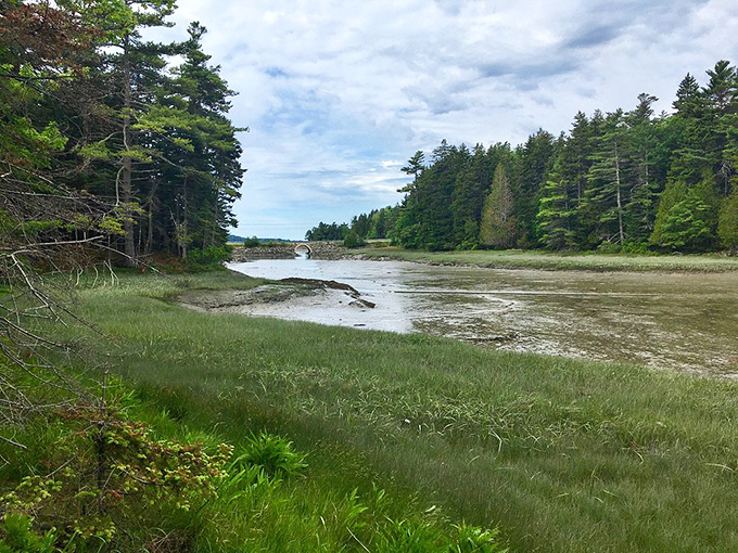 Cliff Trail's stunning overlook reveals the peaceful waters of Long Reach, a view worth every step of the family-friendly hike.