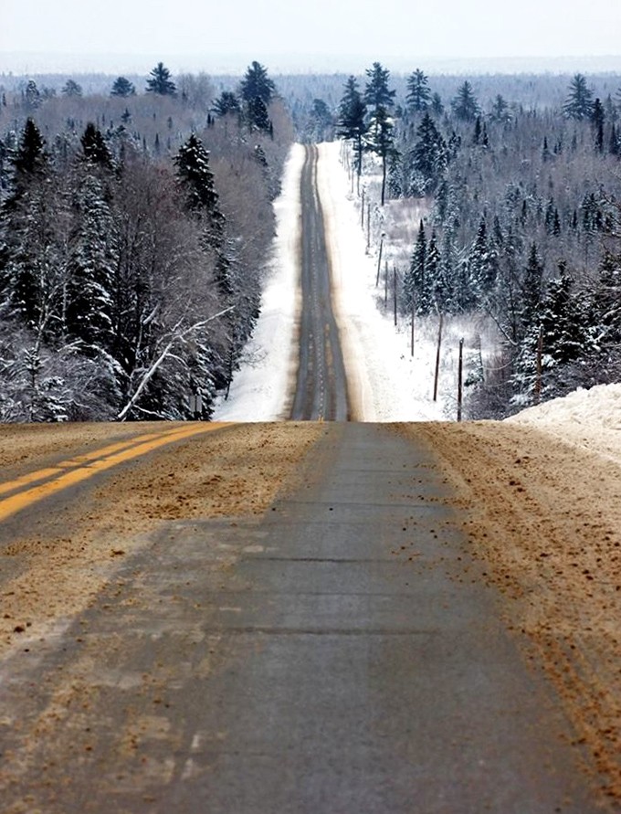 Winter transforms Haynesville Woods into a snow-covered wonderland, where the straight road seems to stretch endlessly into the horizon. 