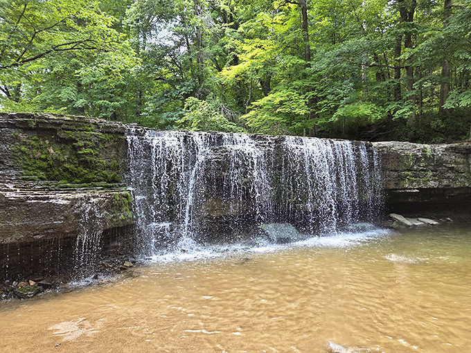 Hidden Falls lives up to its name, tucked away like a secret that the trees have been keeping just for you.
