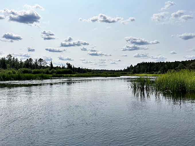 Oscoda's river meets lake in a peaceful confluence where wildlife thrives and worries dissolve into the gentle current.