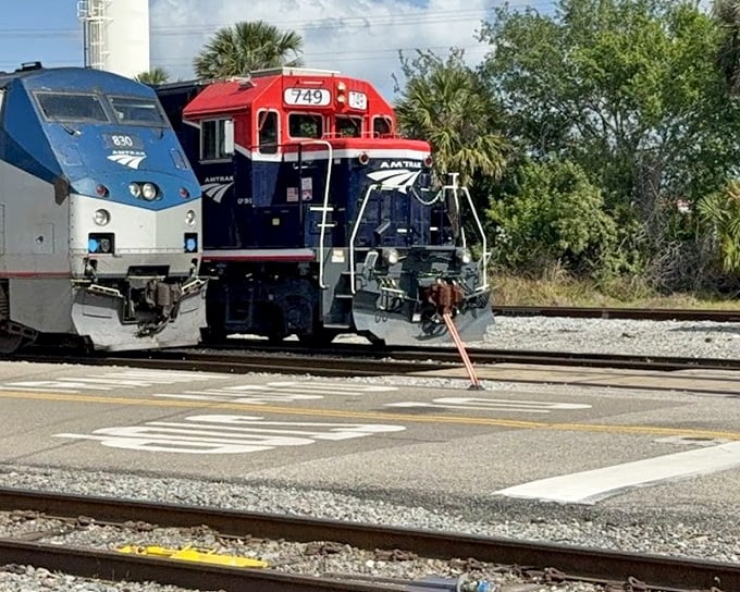 Two Amtrak engines meet at a crossing, their bold colors standing out against Florida's lush greenery &ndash; a reminder of the extensive rail network connecting the state's most charming destinations.