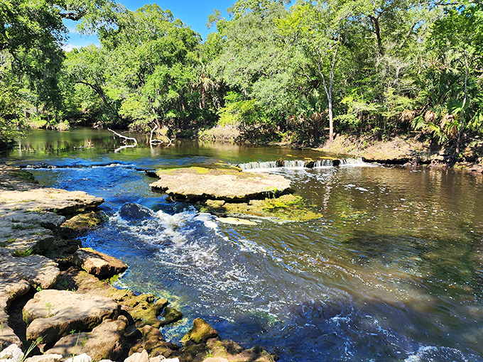 3a. steinhatchee falls (steinhatchee)