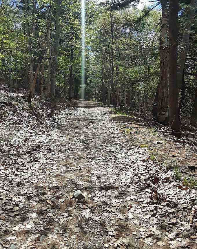 This rocky path appears twice daily when the tide retreats, offering a magical walk across the ocean floor.