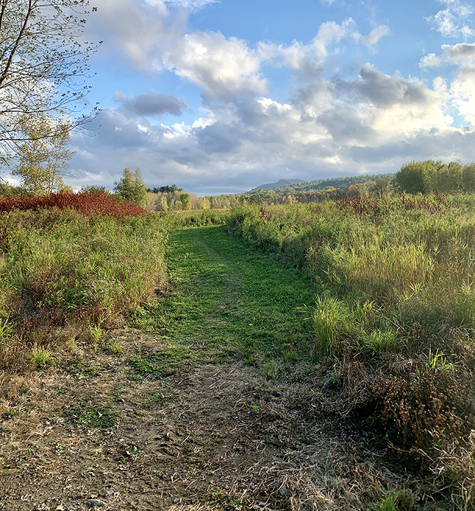 Autumn paints Bethel's pathways with a palette of golds and ambers, creating a scene straight from a storybook adventure.