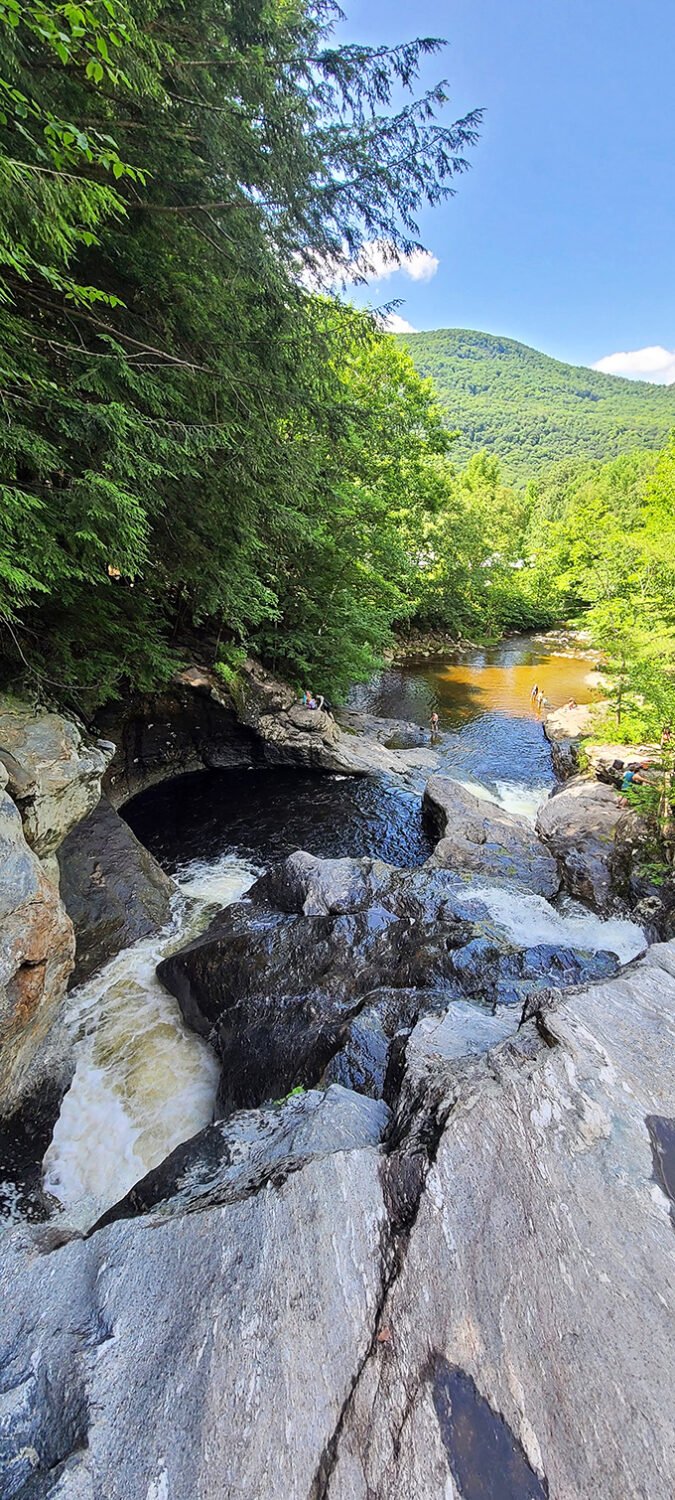Sunlight filters through the canopy, turning the stream into a ribbon of gold as it winds between moss-covered stones.