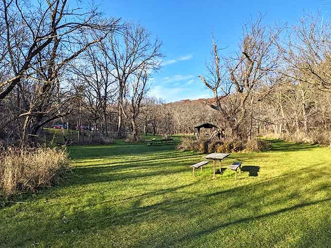 A peaceful picnic area at Carley State Park offers visitors a place to rest and enjoy the natural surroundings after exploring the park's scenic trails.