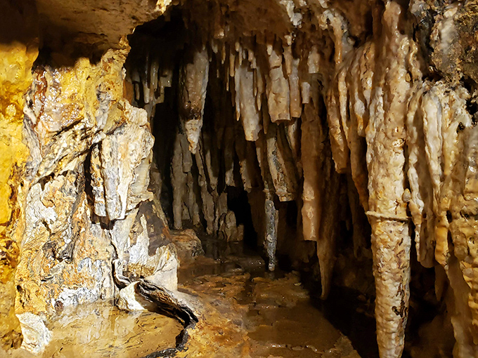 Delicate formations line the cave passages, each one shaped by countless water droplets over thousands of years.