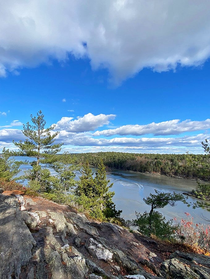 Marshy inlets and tidal areas create a constantly changing landscape along the Cliff Trail, where nature puts on a different show each season.