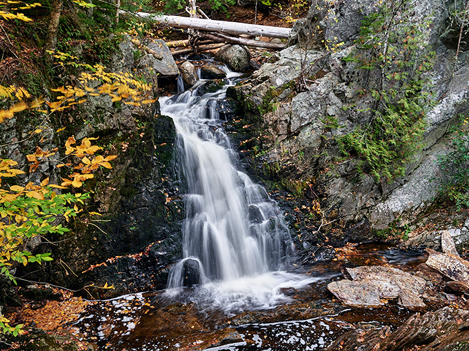 The dramatic vertical drop at Dunn Falls creates a misty curtain that catches rainbow prisms on sunny days.