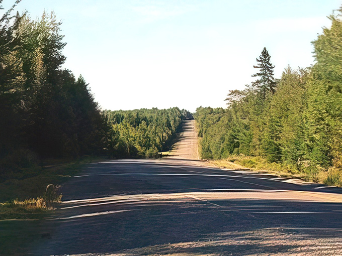 The famous Haynesville Woods road cuts through dense Maine forest, creating a tunnel of green in summer and a corridor of color in fall. 