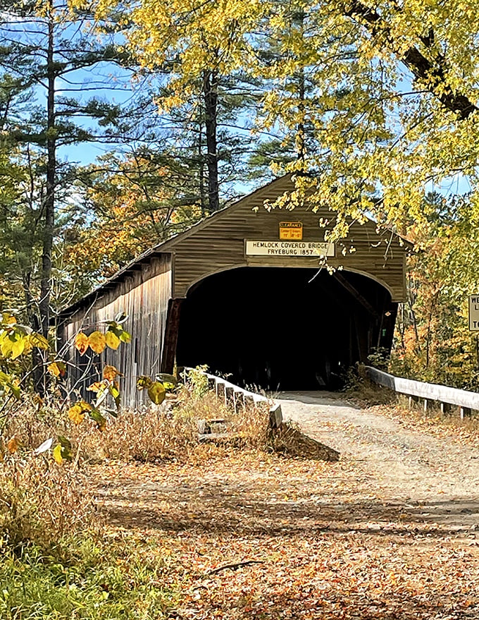 Autumn transforms Hemlock Bridge into a golden passage, with sunlight filtering through trees to spotlight this historic treasure.
