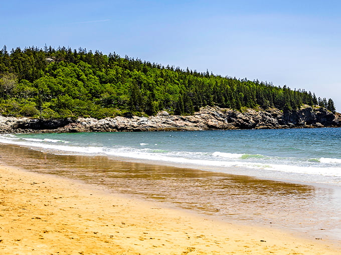 Morning light illuminates the pristine shoreline of Sand Beach, where early birds have the best chance of discovering sea glass treasures. 