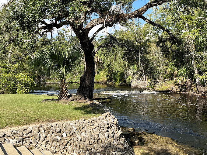 3b. steinhatchee falls (steinhatchee)