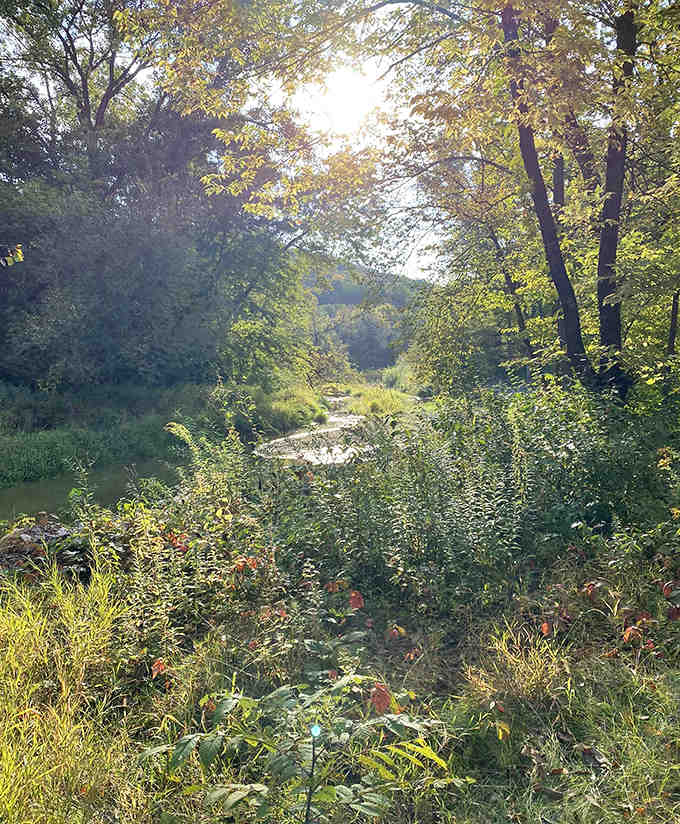 Mother Nature showing off again! This tranquil stream scene is the Midwest's version of meditation &ndash; no app required.