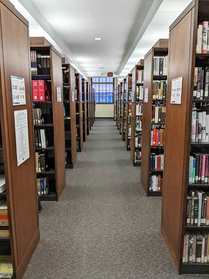 Rows of wooden shelves create literary canyons to get happily lost in &ndash; each aisle a new adventure waiting to be discovered.