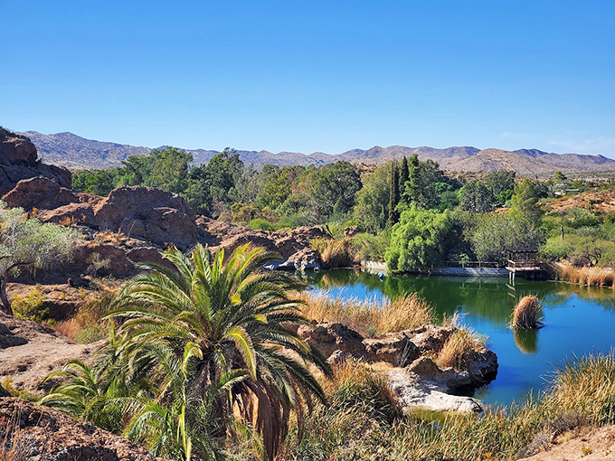 A tranquil oasis emerges from the rugged terrain, reflecting blue skies and creating a haven for desert wildlife.