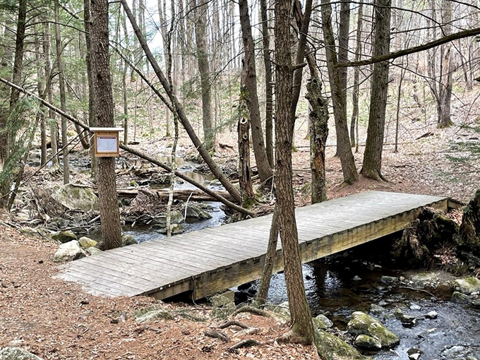 This charming wooden footbridge isn't just functional &ndash; it's the perfect pause point for contemplating life's flowing currents below.