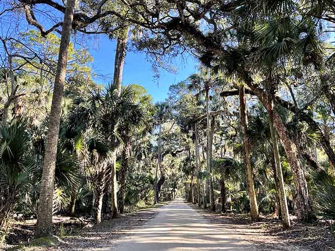 This canopy of live oaks and Spanish moss creates shade so perfect you'll wonder why anyone ever invented air conditioning.