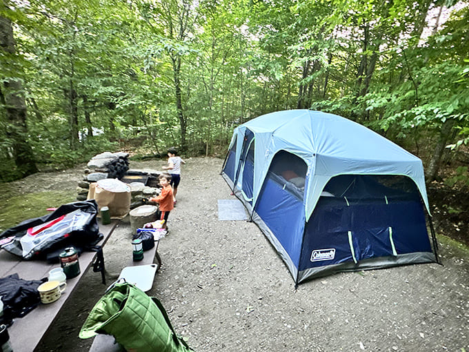 Setting up camp among towering trees beats any hotel room, especially when your neighbors are chipmunks instead of people with loud televisions and questionable taste.