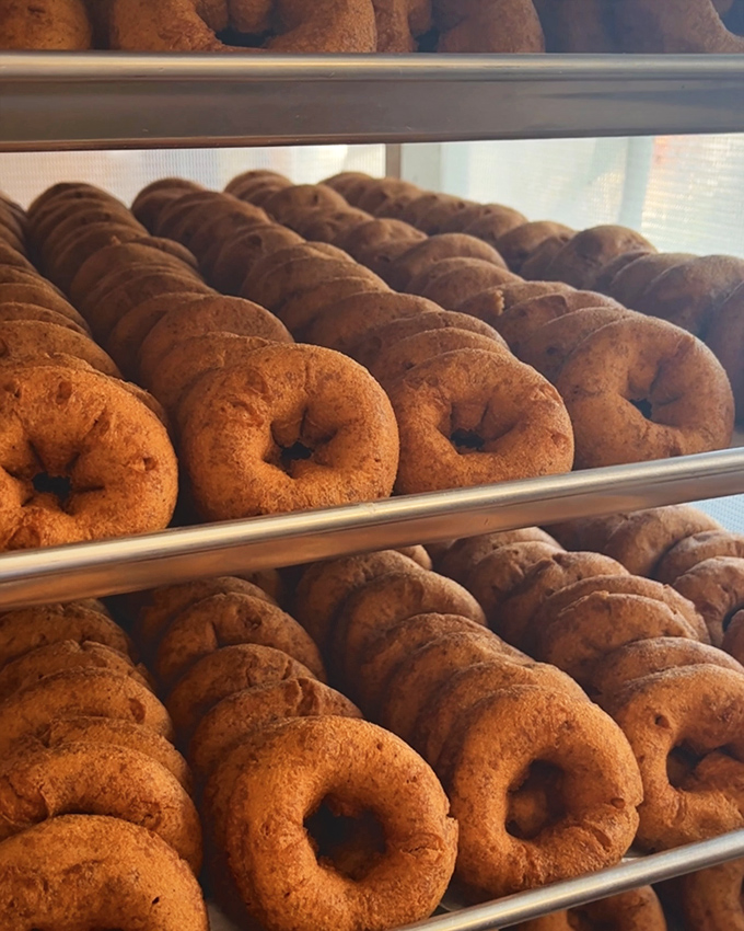 Rows of golden-brown cider donuts await their destiny &ndash; to disappear into the mouths of delighted visitors who can't resist their cinnamon-sugar siren call.
