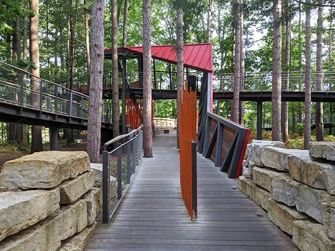 Wooden walkways wind through the forest, inviting exploration with every curve, nature's version of the yellow brick road.