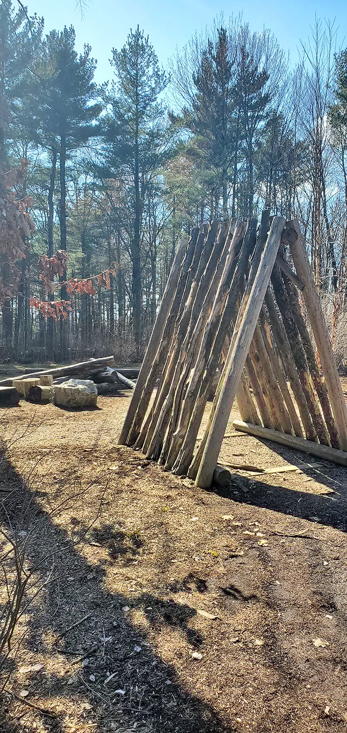 This wooden hideaway transforms ordinary afternoons into extraordinary adventures, sparking imagination in young explorers of all ages.
