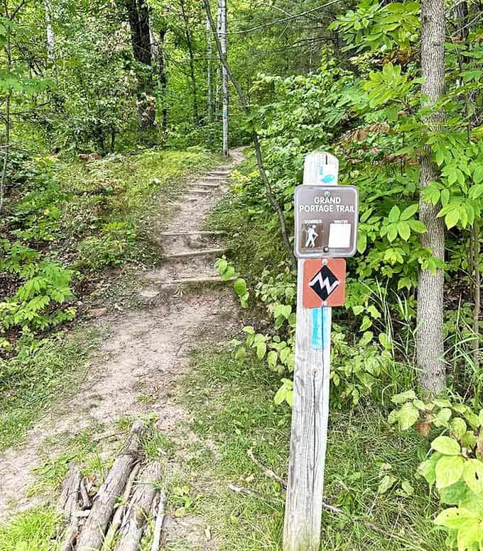 The Grand Portage trailhead invites adventurers with rustic wooden steps ascending into a green cathedral of ancient trees and whispered history.