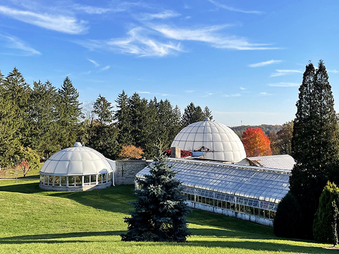 These futuristic bubbles of botanical wonder look like they landed from planet Horticulture, bringing climate-controlled magic to the Michigan countryside.