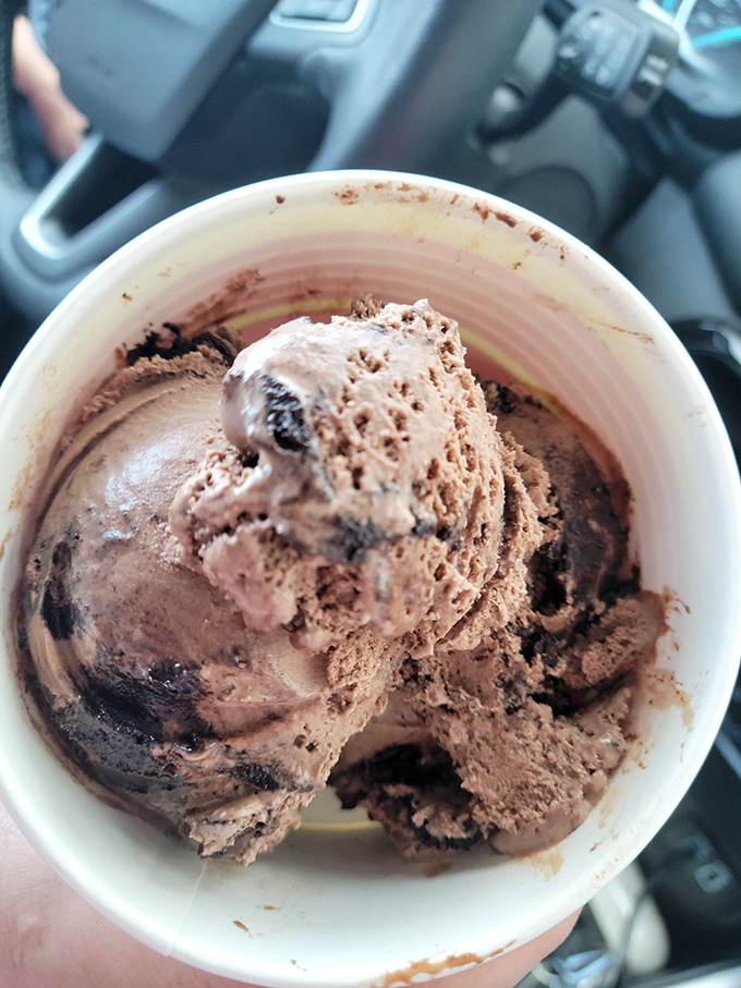 This isn't just chocolate ice cream &ndash; it's a commitment to decadence, with fudgy swirls and chunks that make each spoonful a treasure hunt.