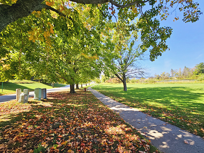 Lake Michigan Beach Park invites visitors to lose track of time under canopies of trees and endless blue skies.