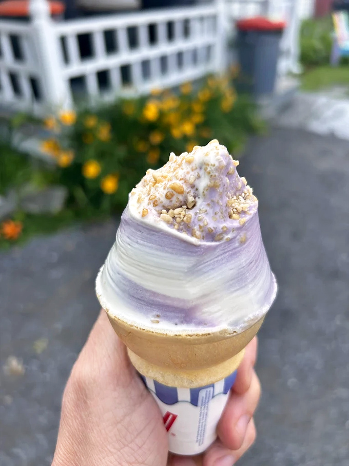 The maple and black raspberry twisted creemee swirls together like a Vermont sunset, beautiful to look at and even better to taste.
