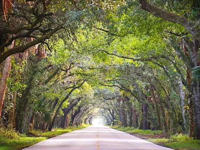 This scenic road view captures what happens when nature and infrastructure actually cooperate, resulting in a drive that's equal parts transportation and meditation.