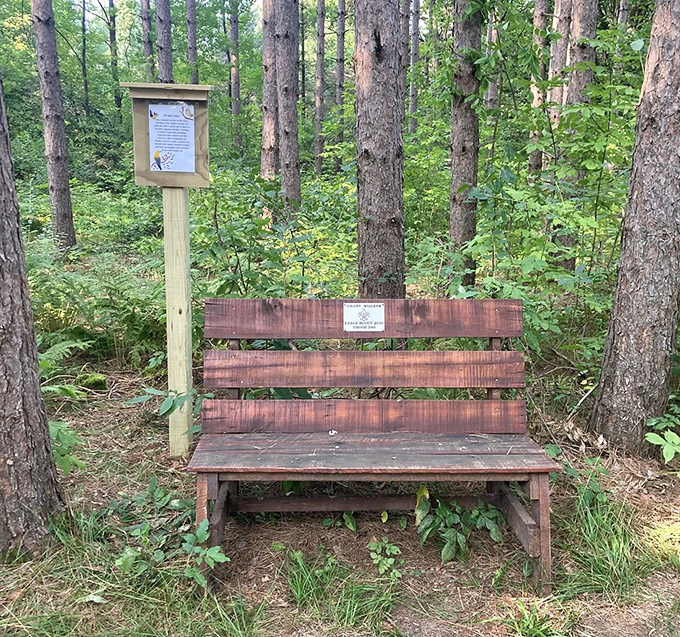 A simple wooden bench invites contemplation among the trees, offering weary explorers a moment of peace in this artistic wonderland.