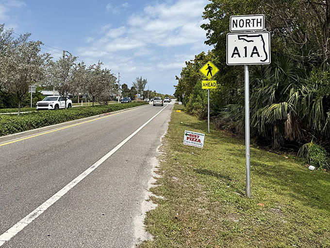 Northbound on A1A, where palm trees stand at attention and the ocean plays peekaboo between buildings.