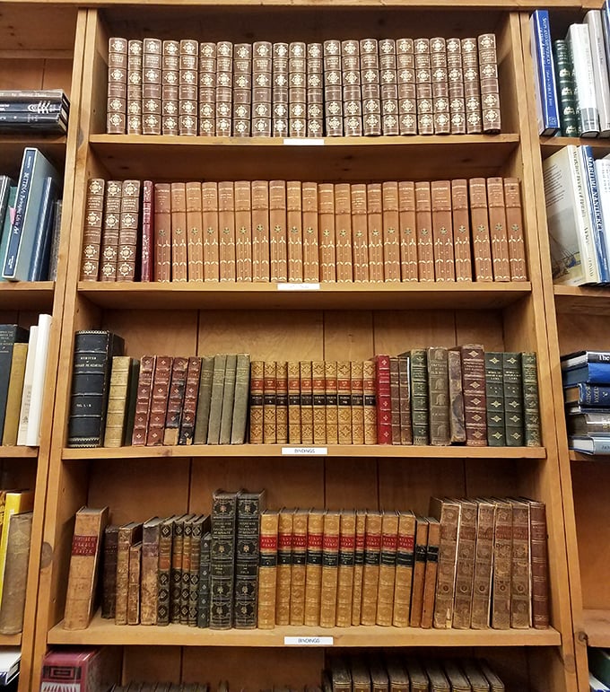 Elegantly bound classics stand at attention like literary soldiers, their gold-embossed spines hinting at the timeless wisdom contained within.