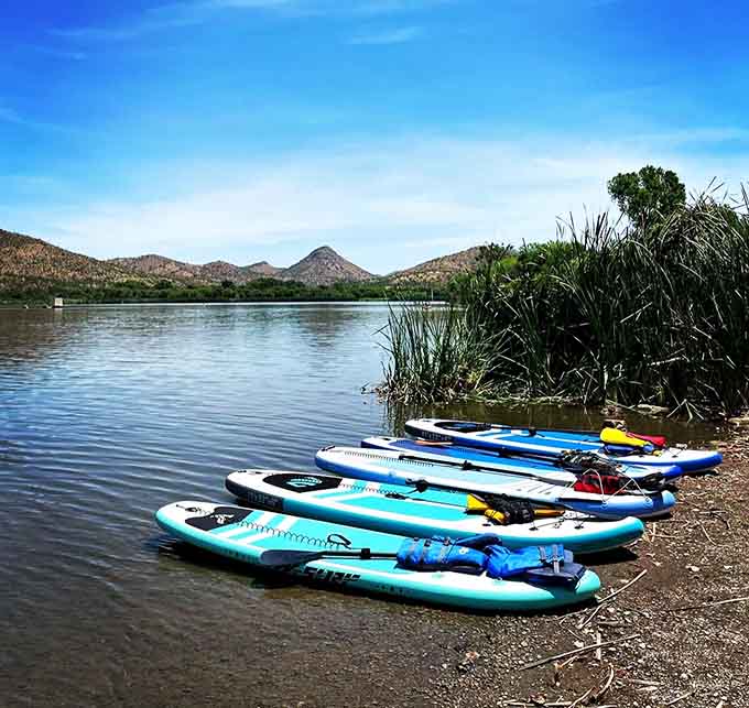 A rainbow of paddleboards waiting to turn anyone into a water sports enthusiast, balance optional.