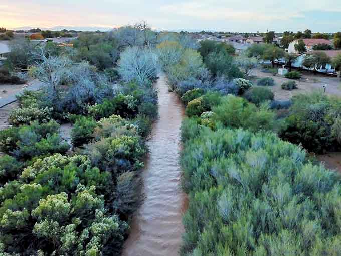 When the wash flows, it's like Arizona remembered it occasionally does water features, much to everyone's delight.